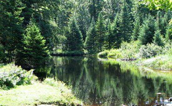 Fishing The Oswegatchie River