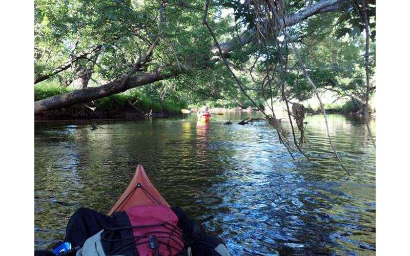 Fishing in the Saranac River in the Adirondacks