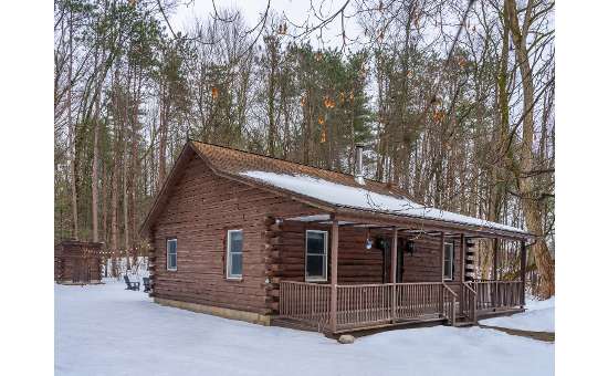 Little Pines Upstate: Saratoga Springs Cabin Reviews & Info