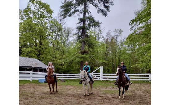 Dancing Horses, LLC in Hudson Falls | LakeGeorge.com