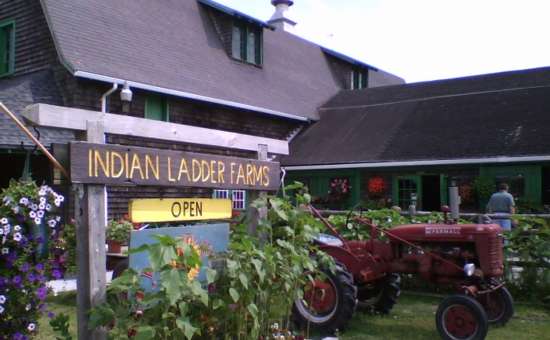 Indian Ladder Farms | Altamont, NY