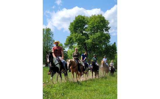 Circle B Ranch: Horseback Riding & Sleigh Rides in Chestertown, NY