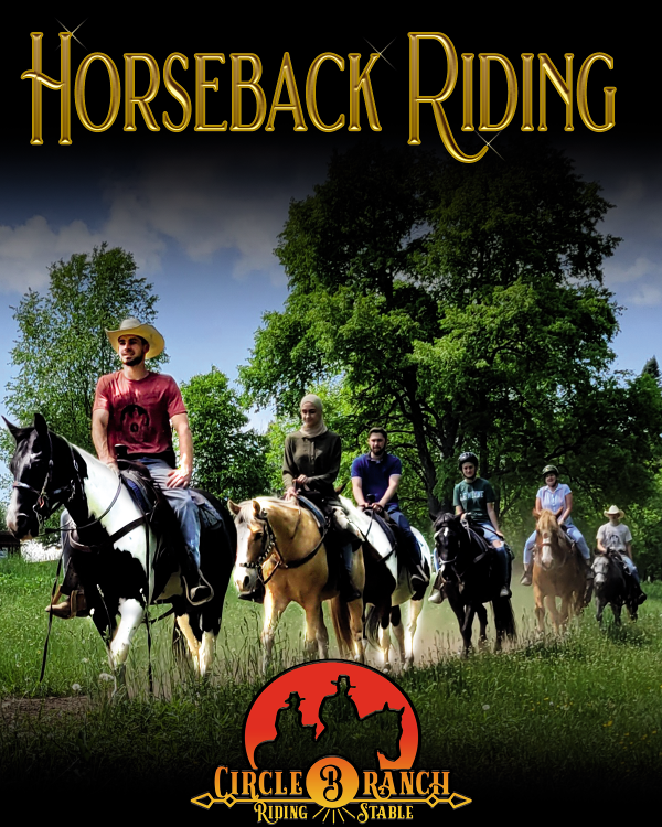 Circle B Ranch: Horseback Riding & Sleigh Rides in Chestertown, NY