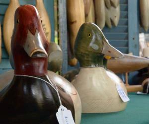 Adirondack Events - Event Calendar For The Adirondacks & North Country ...