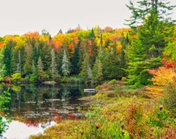 Adirondack Events: From the Southern Adirondacks to the North Country ...