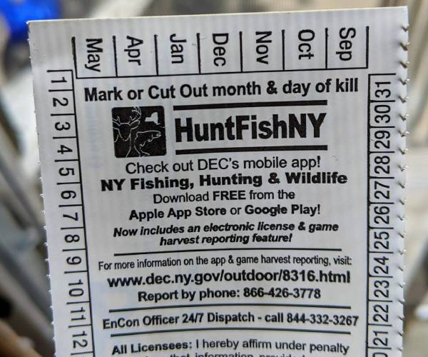 Lake George Fishing Guide: Best Spots, Charters & More