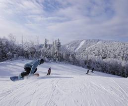 Find Fun Things To Do In Albany NY: Events, Attractions, Shopping ...