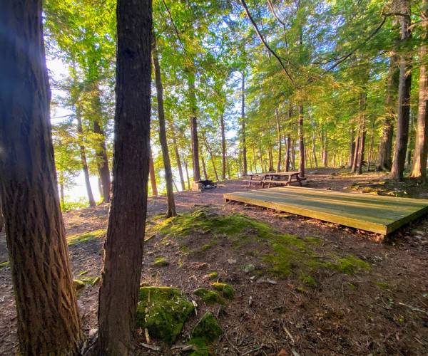 Where to Go Camping in Lake George, NY: Sites, Cabins & More