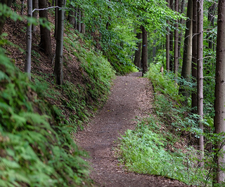 Guide to Ballston Spa & Malta | Day Trips Near Saratoga Springs NY