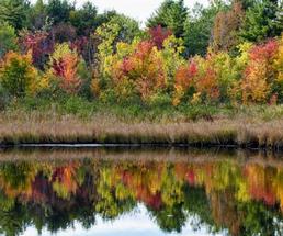 Lake George Fall Leaf Peeping Guide: When to See Fall Foliage