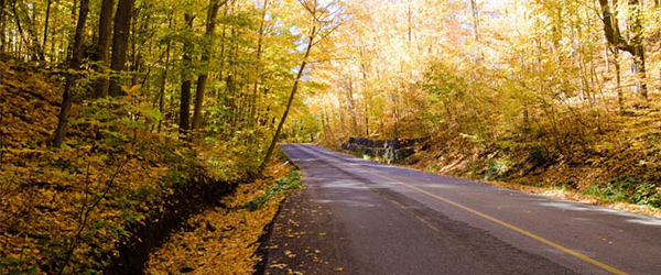 Lake George Fall Guide: Go Apple Picking, Enjoy Festivals, And Find Fun ...