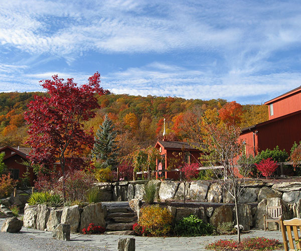 Lake George Fall Foliage: Unique Ways to Enjoy the Colors