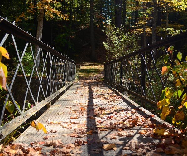 Lake George Fall Guide: Go Apple Picking, Enjoy Festivals, And Find Fun ...