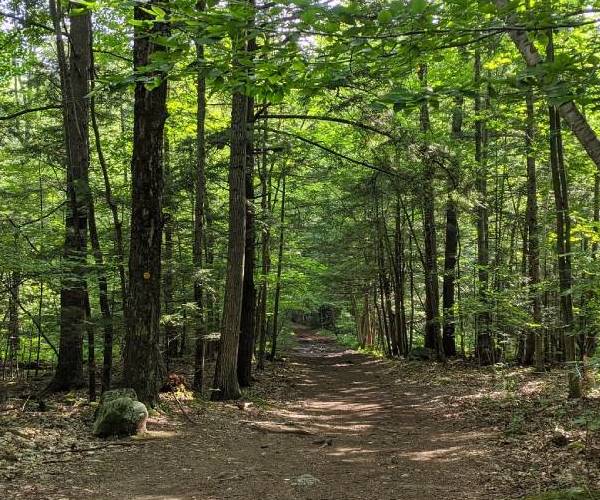 Guide to Hiking in the Lake George Region