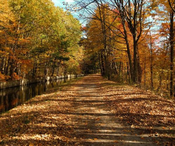 Lake George Biking: Rentals, Routes & More