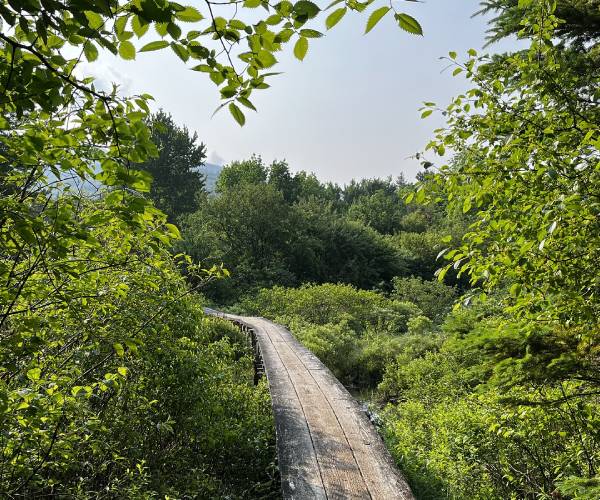 Adirondack Hiking Guide: Trails, Tips & Current Conditions