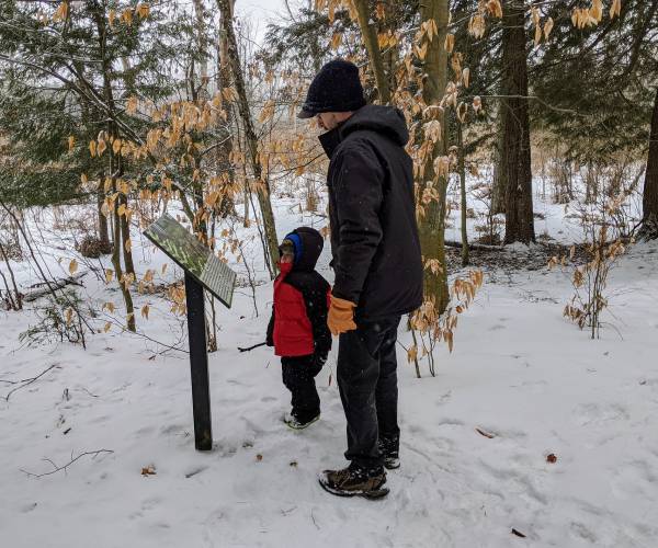 Adirondack Hiking Guide: Trails, Tips & Current Conditions