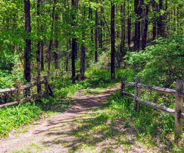 Explore Hiking Trails and Nature Preserves in Saratoga Springs & Nearby
