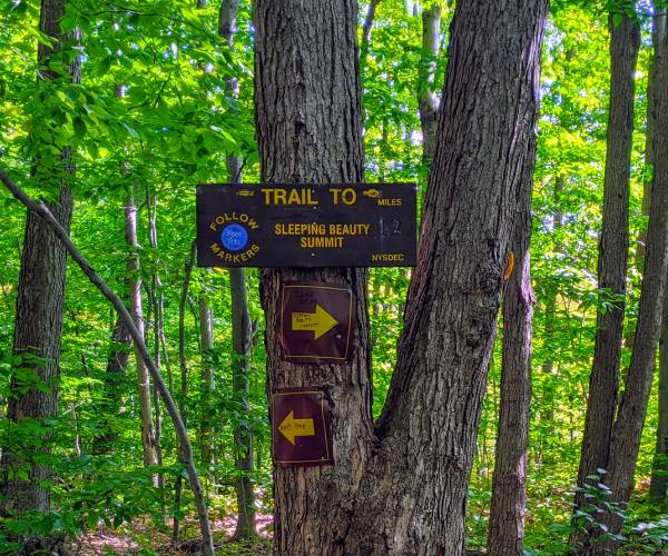 Outdoor Attractions in Lake George