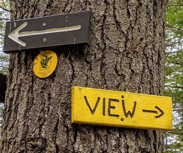 Adirondack Wildlife Guide - Discover Wildlife in the Adirondack Region