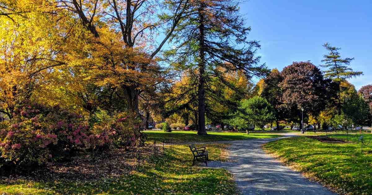 Albany Fall Foliage: 8 Best Places to View Stunning Colors