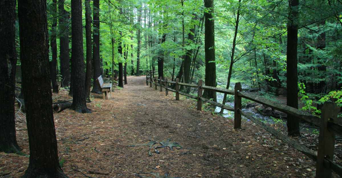 Explore Five Rivers Environmental Education Center in Delmar, NY