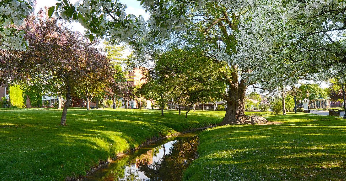 2023 Guide to Spring in Saratoga: Top Activities, Outdoor Fun & More