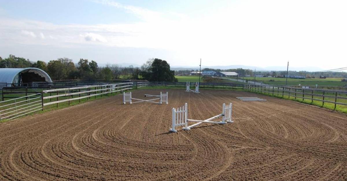 Experience Horseback Riding, Lessons, and More in Saratoga County NY