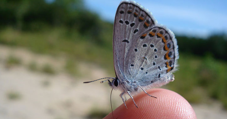 5 Hidden Gems Worth Checking Out in the Albany, NY Area