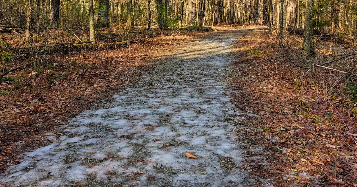 A Bridge Closure, a Fire Tower Closure & More Trail Notices to Know