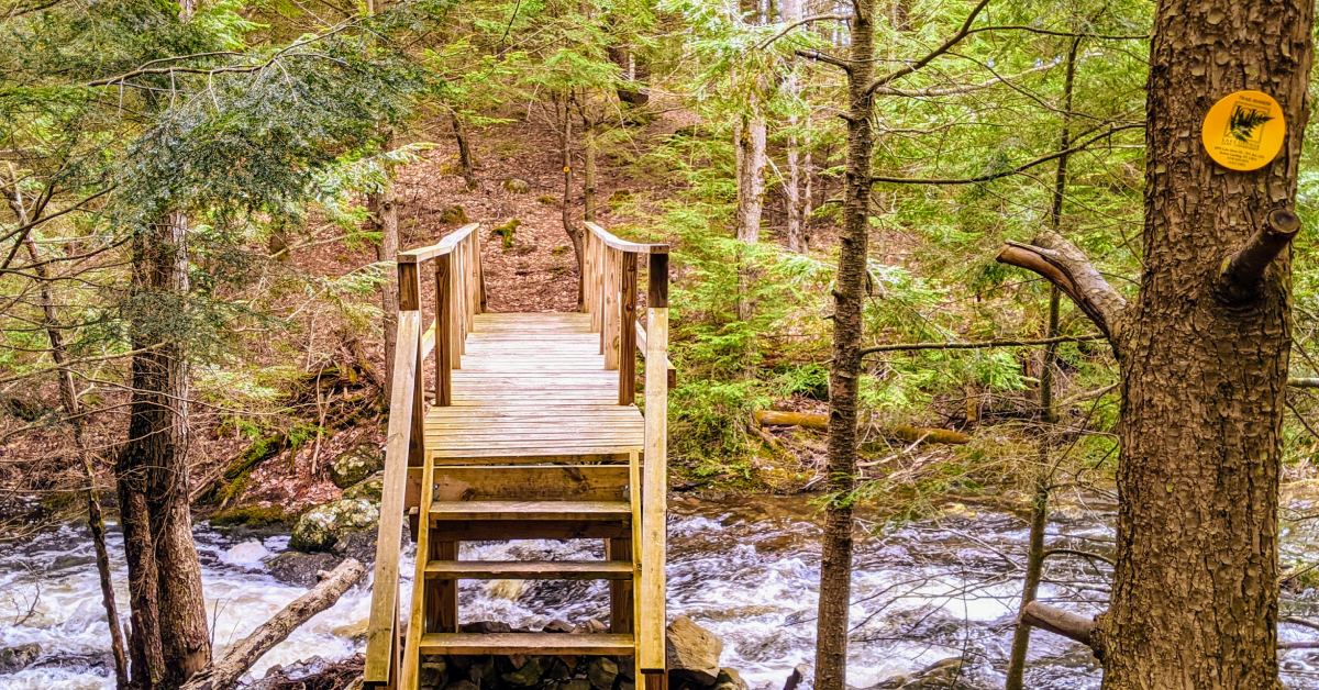 2023 Adirondack Spring Guide: Discover Outdoor Fun, Top Activities & Mor