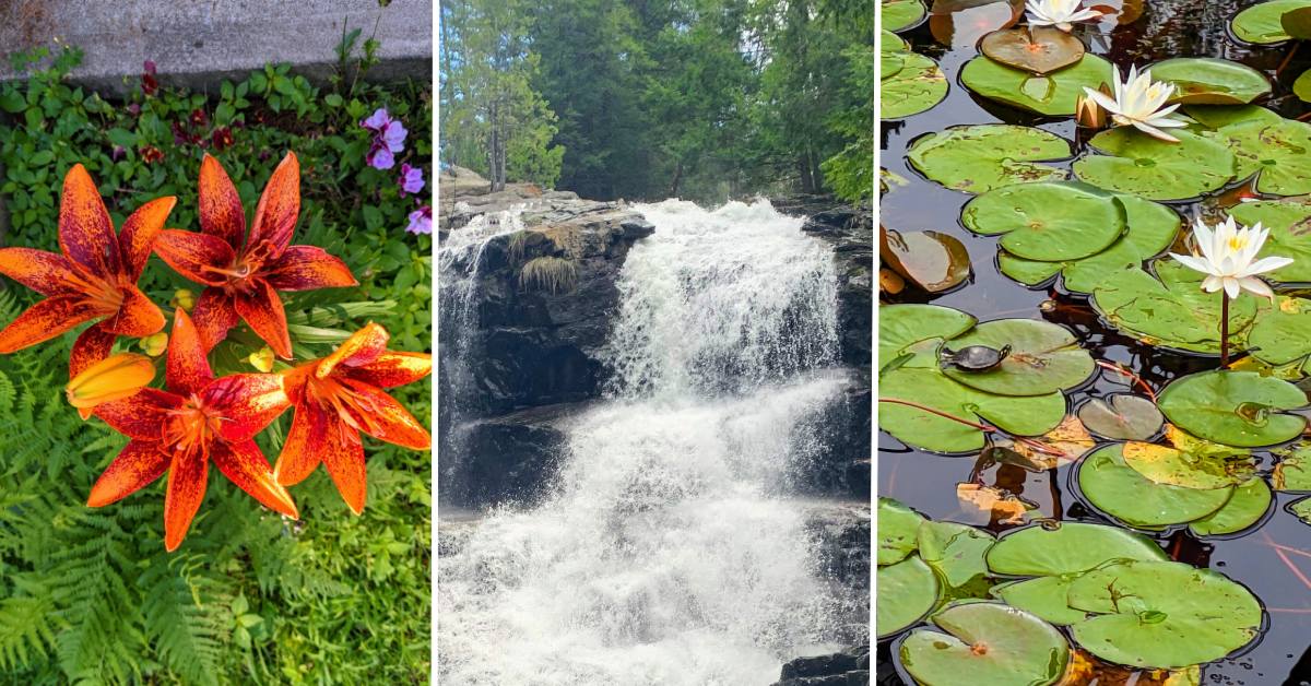 See Things to Do This Spring in the Adirondacks