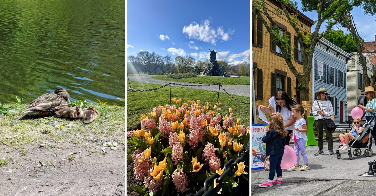2025 Albany Spring Guide: Fun Activities, Top Events, and More