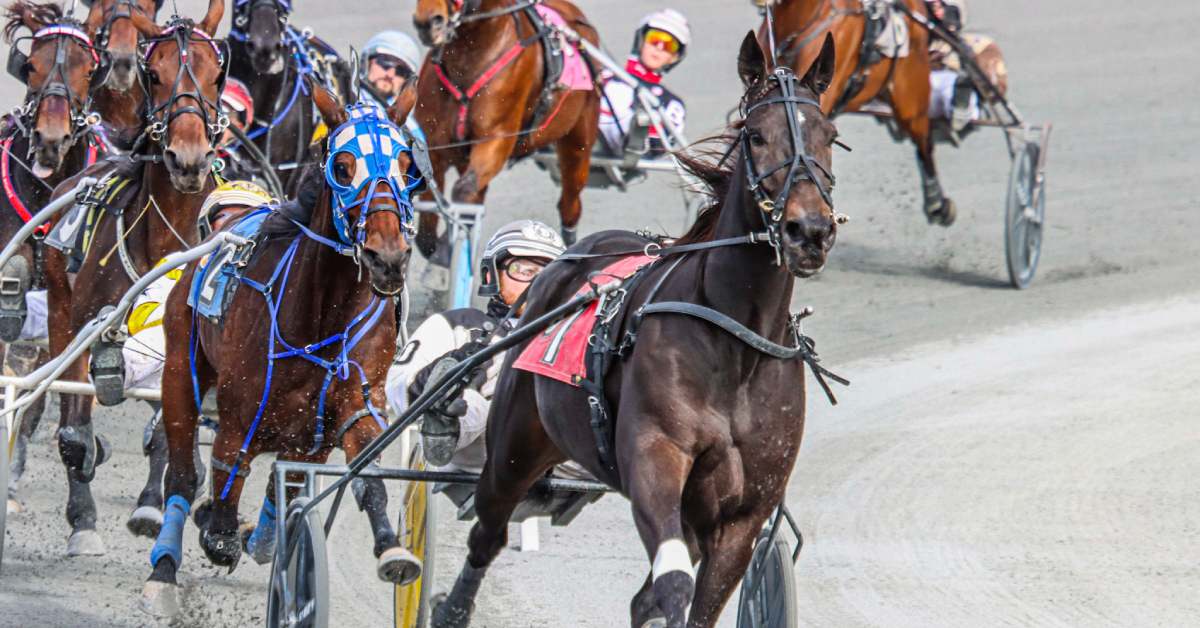 Learn the History of Harness Racing at Saratoga Casino Hotel