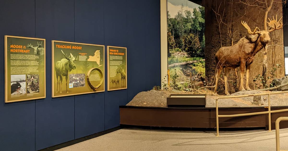 Fun Things to Do in Albany, NY: Attractions & Activities