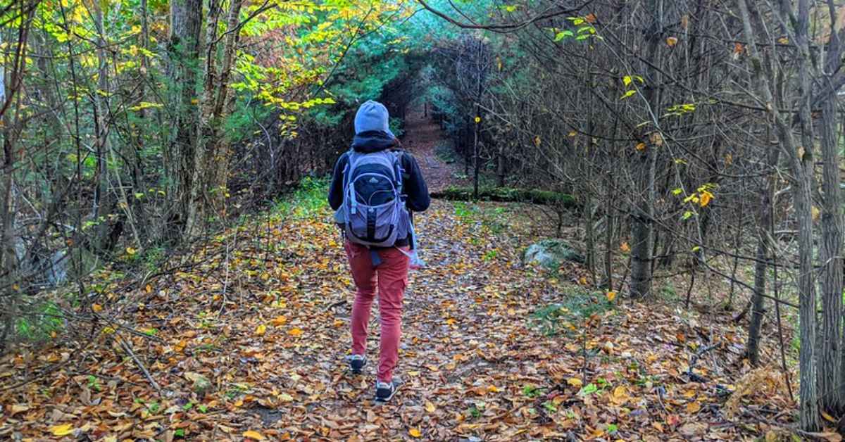 Adirondack Fall Hiking Gear: What to Wear & Pack