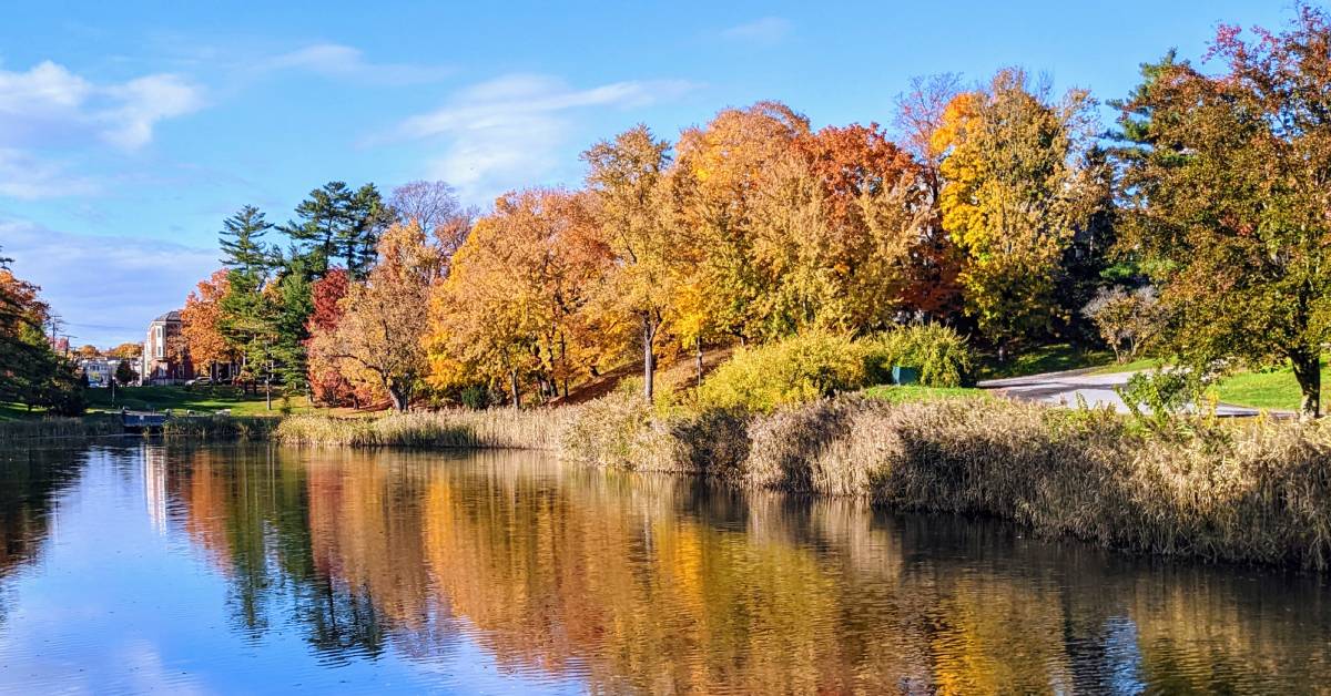 Top Family-Friendly Fall Activities Near Glens Falls, NY