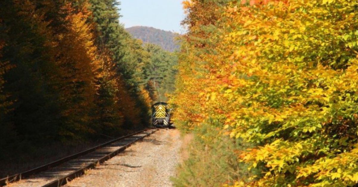 Top 5 Fall Activities for Adults in Saratoga Springs, NY