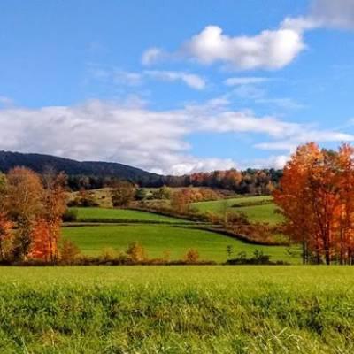 2020 Albany Fall Guide: Explore the Season's Best Activities, Events & More