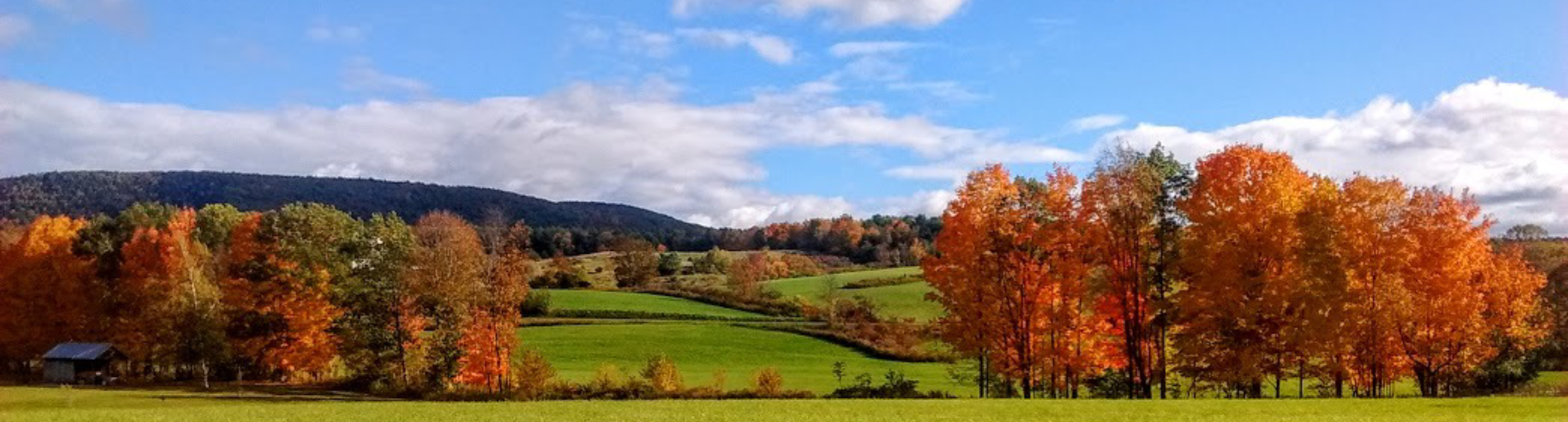 2023 Albany Fall Guide: Explore the Season's Best Activities, Events & More