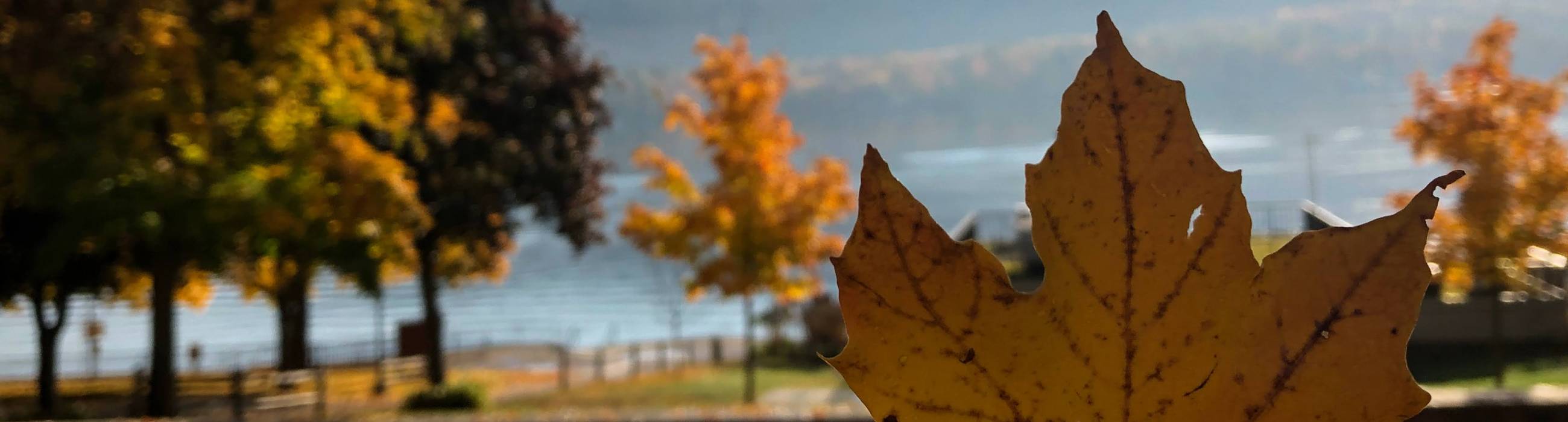 Lake George Fall Guide: Go Apple Picking, Enjoy Festivals, And Find Fun ...