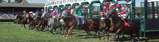 Visit Saratoga! Travel Guide to Saratoga Springs NY