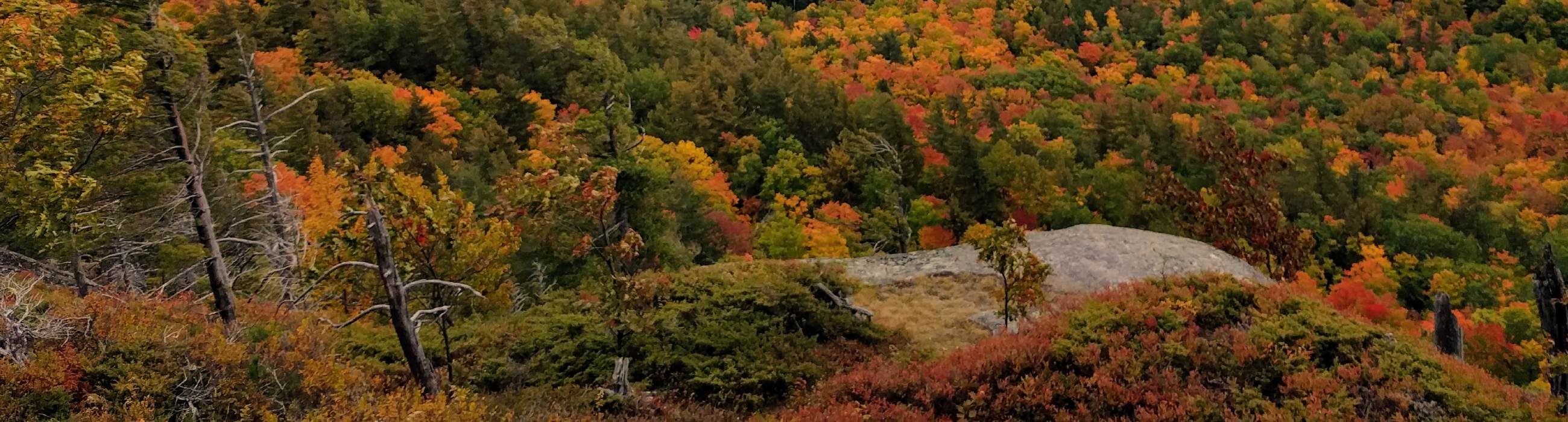 Adirondack Fall Guide: Find Views of the Foliage, Fall Events & More
