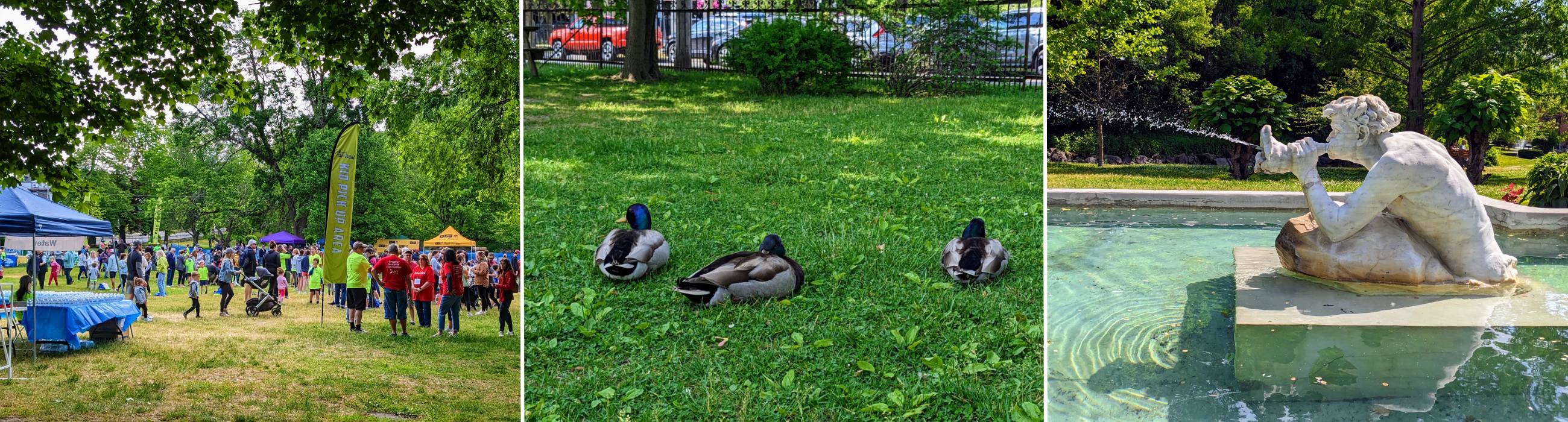 2024 Guide to Spring in Saratoga: Top Activities, Outdoor Fun & More