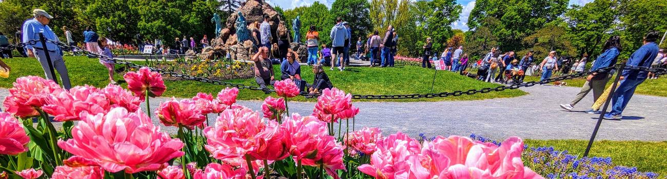 2026 Albany Spring Guide: Fun Activities, Top Events, and More
