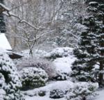 Explore Albany Hotels, Events, Restaurants, Things to Do & More In ...